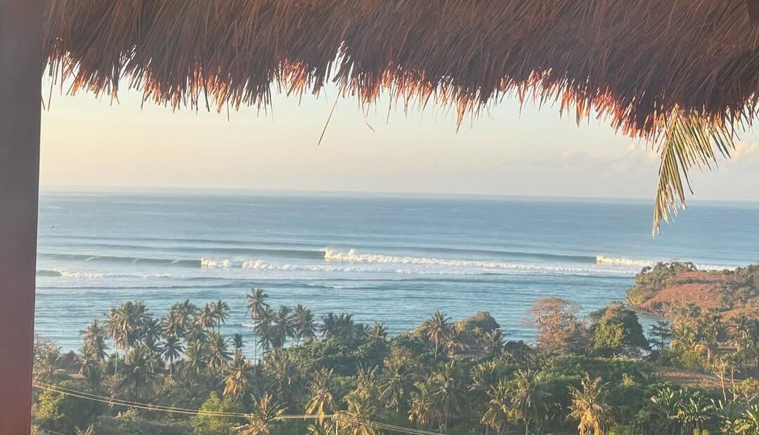 Sumba surf pioneer sentenced to one year in prison in land dispute case ...